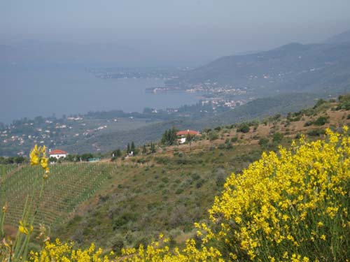 Real Estate on the Pelion, Skiathos, and the Northern Sporades /Greece ...