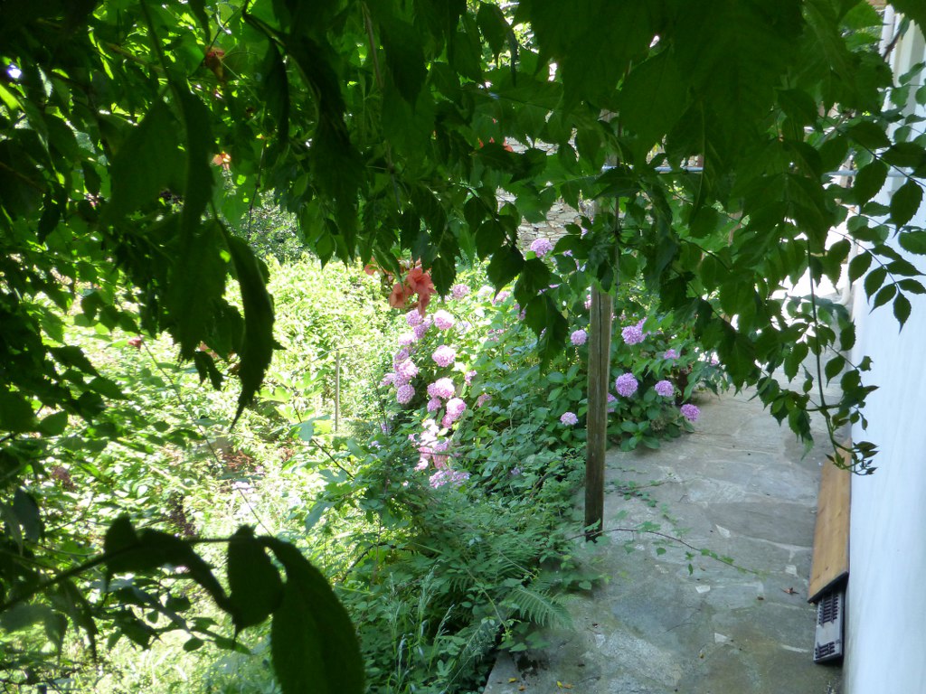 PELIONESTATES Real Estate in GREECE on the Pelion, Skiathos, and the ...